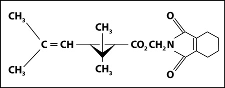 Ficha ingredientes activos